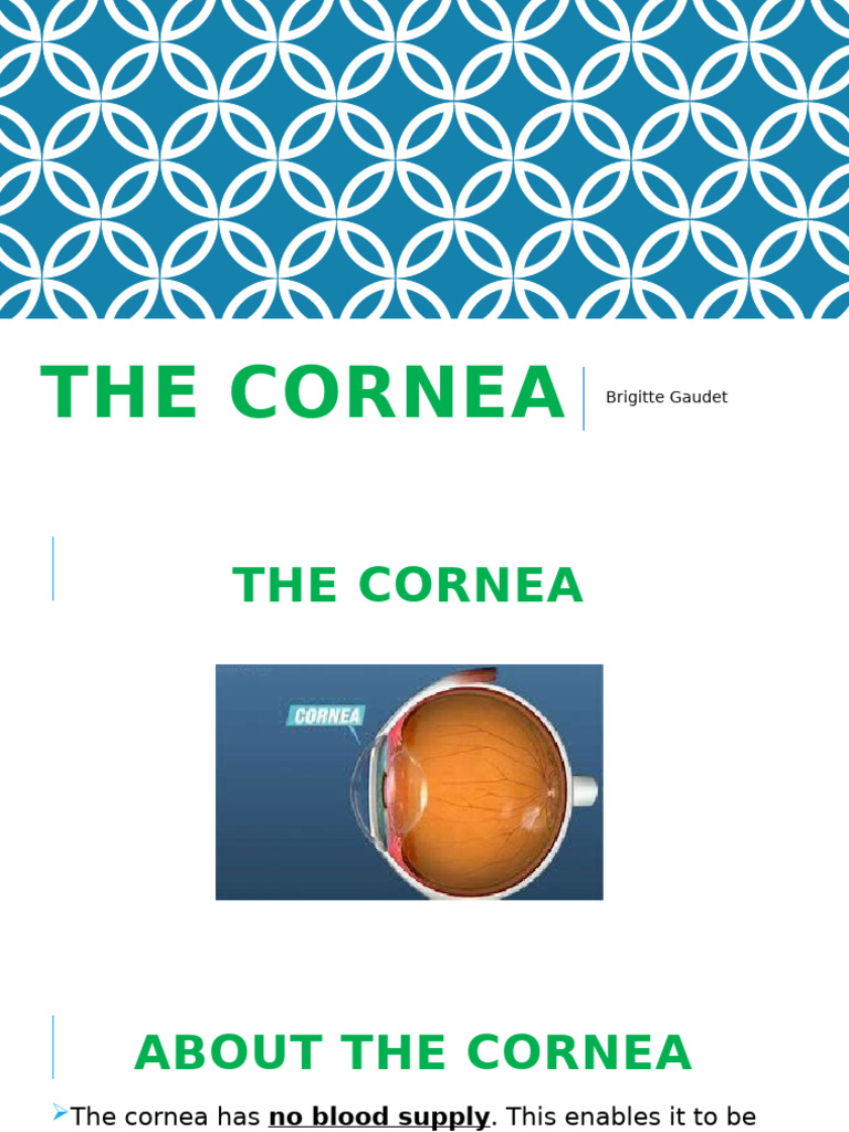 The Cornea | PDF | Cornea | Epithelium