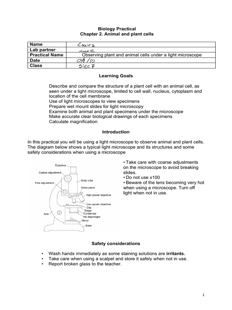 CH2 Practical 4IECT | PDF | Cell (Biology) | Microscope