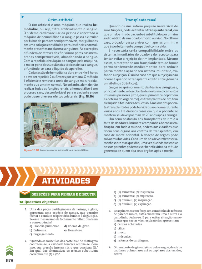 exercicios sobre sistema respiratorio | PDF | Pulmão | Rim exercicios sobre sistema respiratorio | PDF | Pulmão | Rim