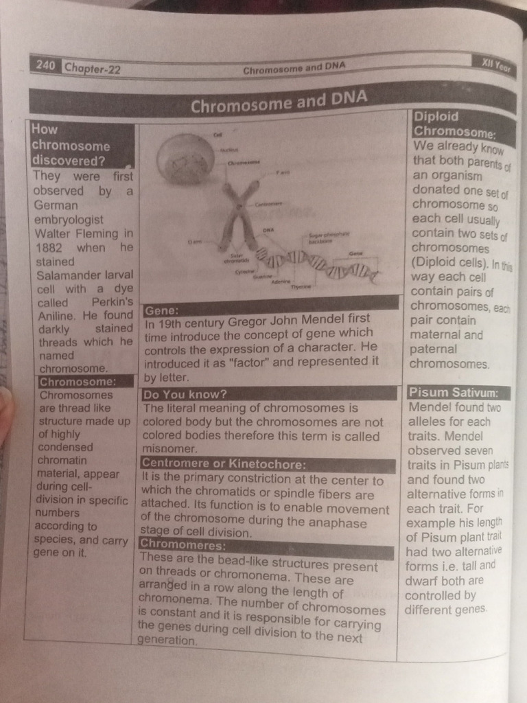 Chromosomes and DNA Mcqs | PDF