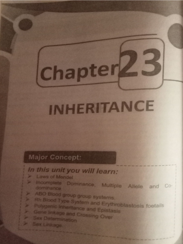 Mcqs Inheritance | PDF