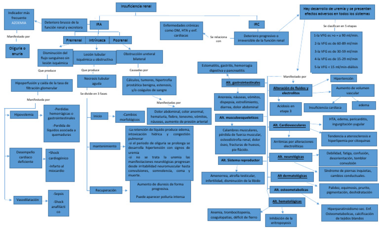 Mapa Erc | PDF | Isquemia | Urología