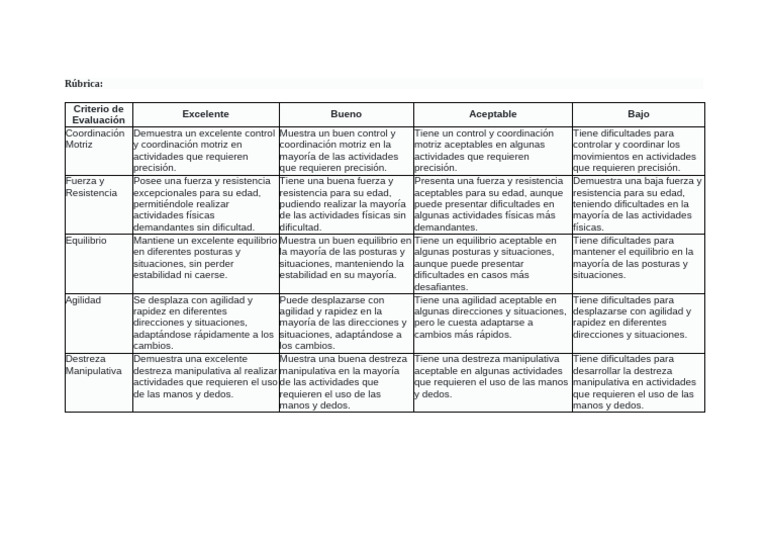 Rúbrica Motricidad Fina y Gruesa | PDF
