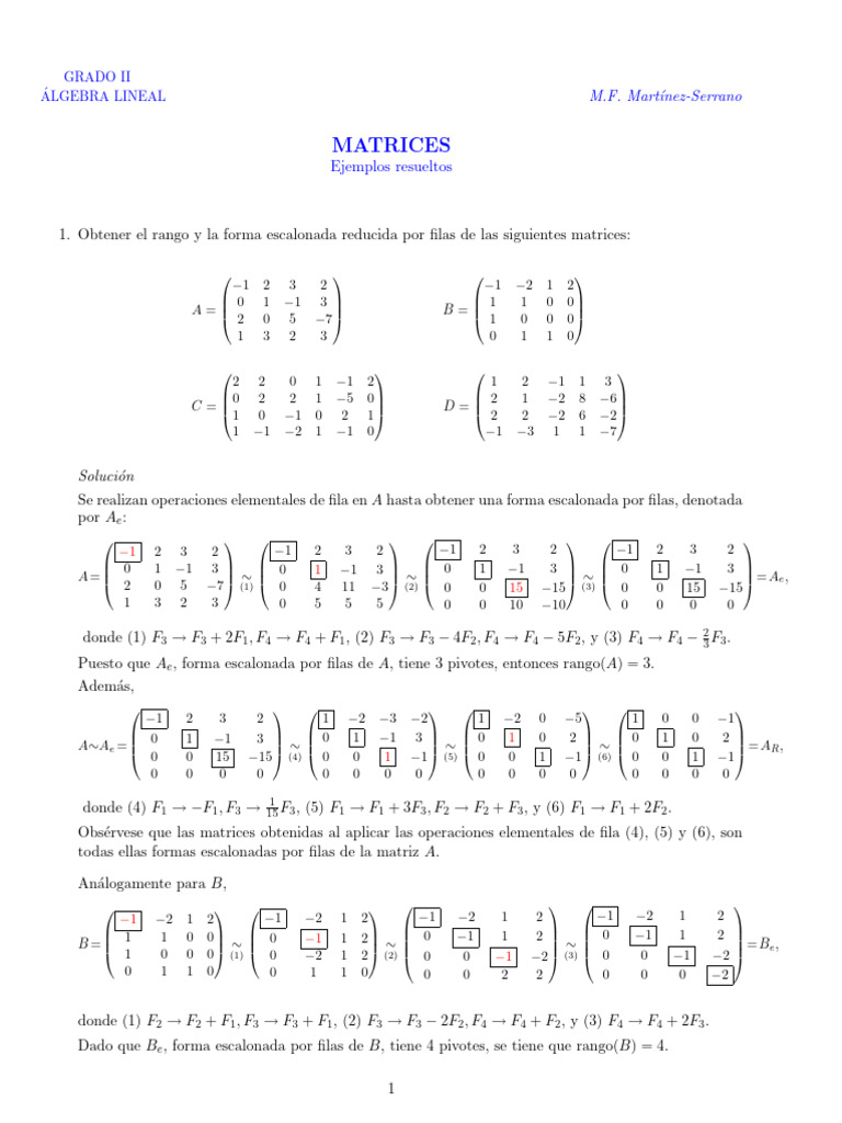 TEMA1-Matrices y Sistemas de Ecuaciones Lineales | PDF | Conceptos matemáticos | Análisis matemático