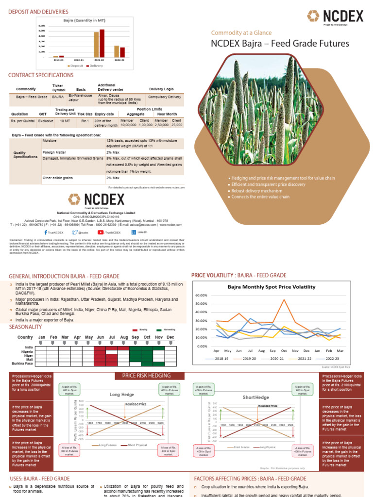 Bajra - One Pager Copy - 1693993810 | PDF | Futures Contract | Hedge ...