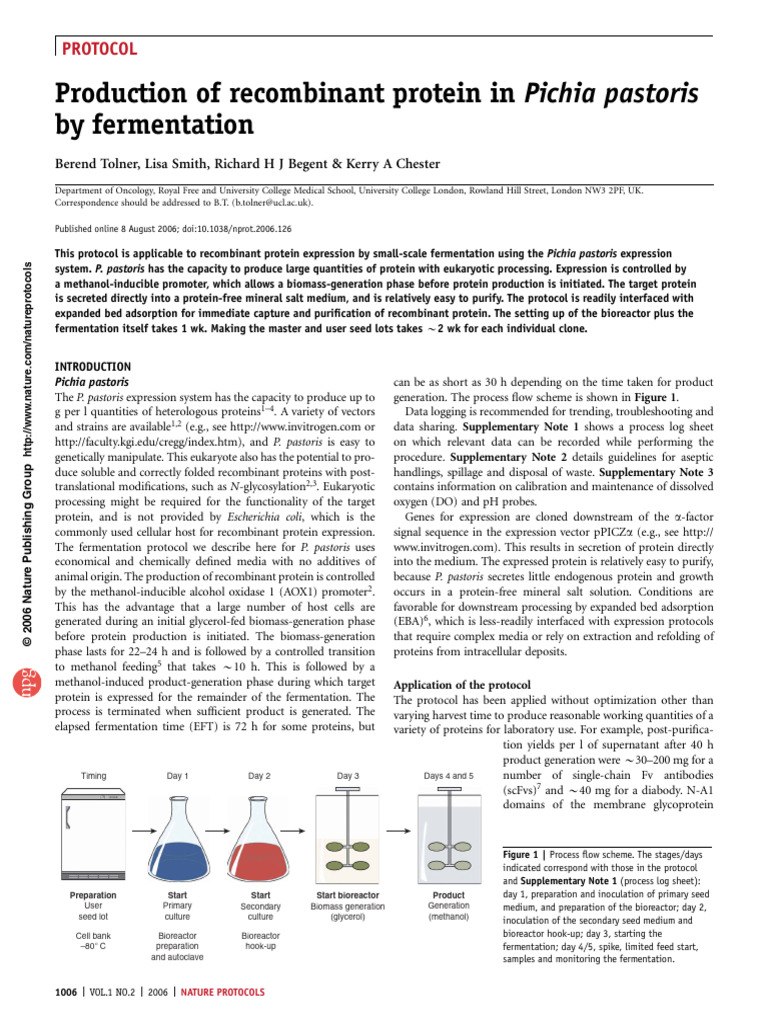 Production of recombinant protein in Pichia pastoris | PDF | Proteins ...
