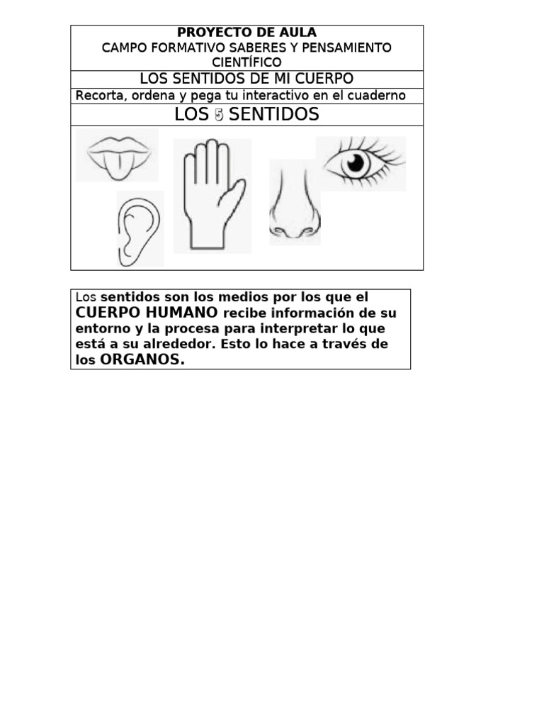 Proyecto de Aula 5 Sentidos | PDF
