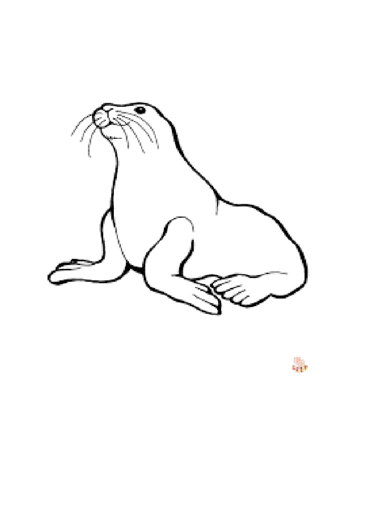 sea lion - 2 | PDF
