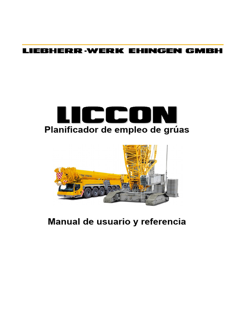 Manual Liccon | PDF | Virus de computadora | Software