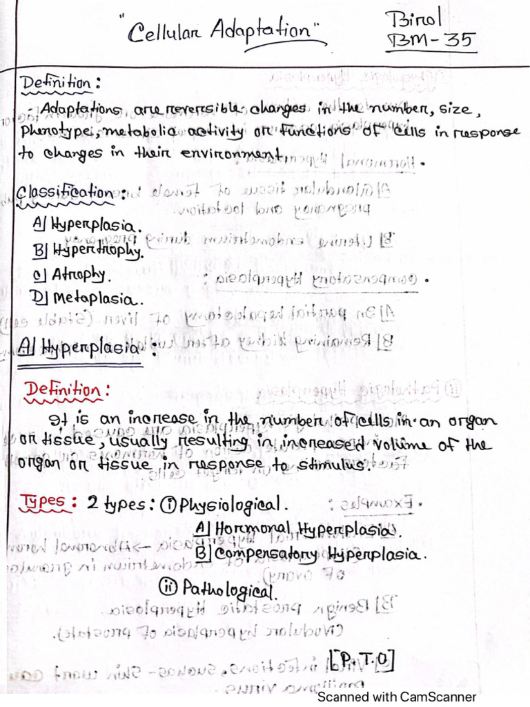 Cell Adaptation (Item 2) | PDF