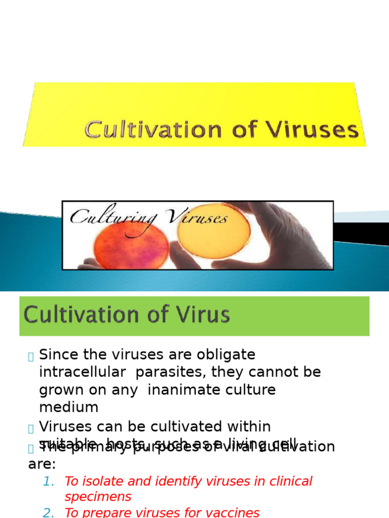 Methods of Viral Cultivation Explained | PDF | Cell Culture | Virus