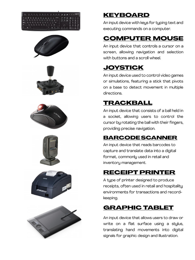 Input and Output Devices | PDF