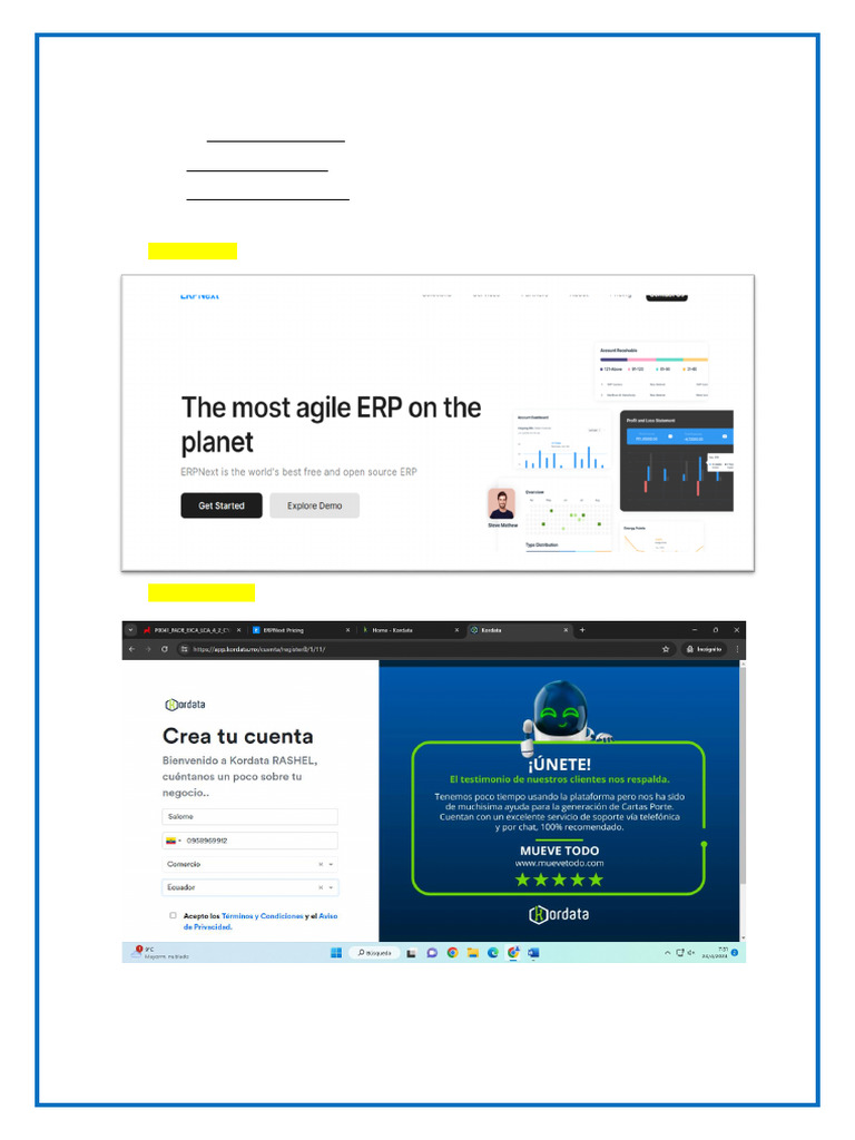 Erp - Software - Rashel Escobar | PDF
