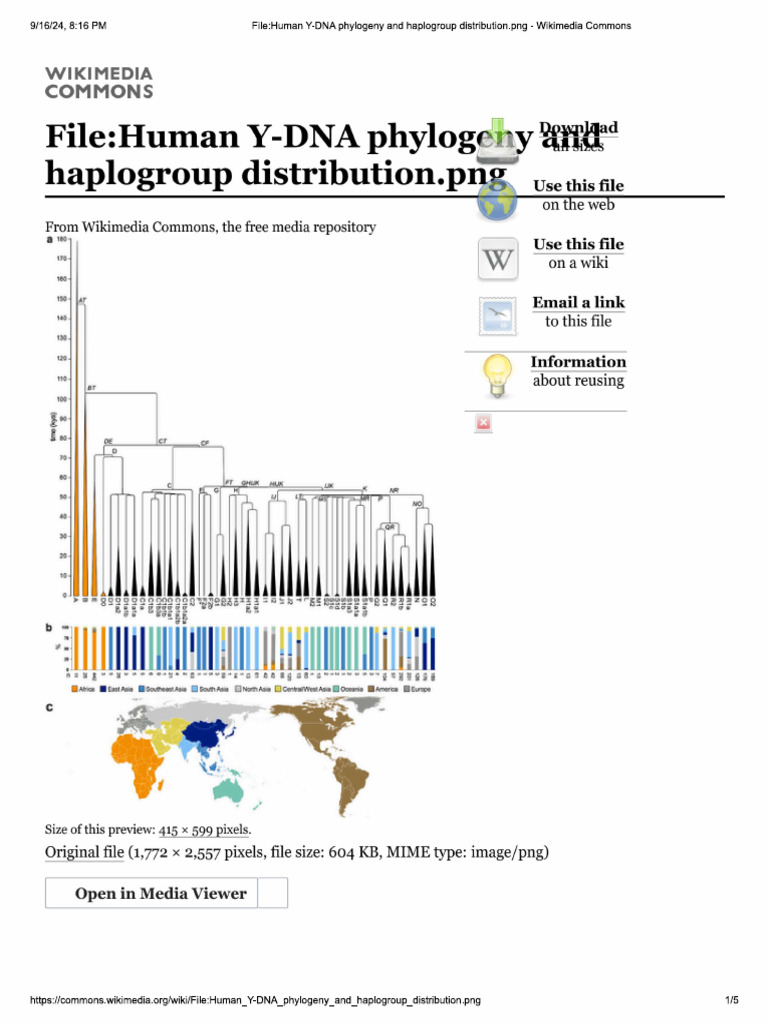 Human Haplogroup Map | PDF