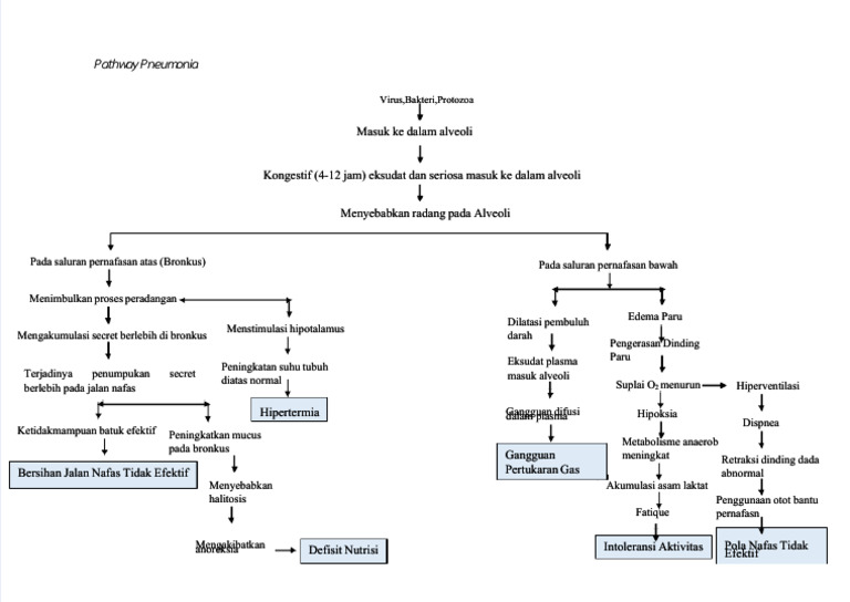 PDF Pathway Pneumonia Fix Compress | PDF