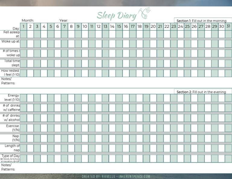 Sleep Diary | PDF