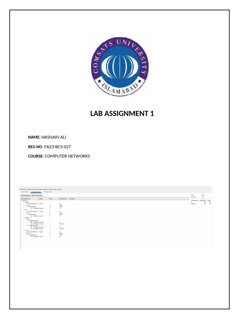 Computer Networks Lab Assignment 1 | PDF