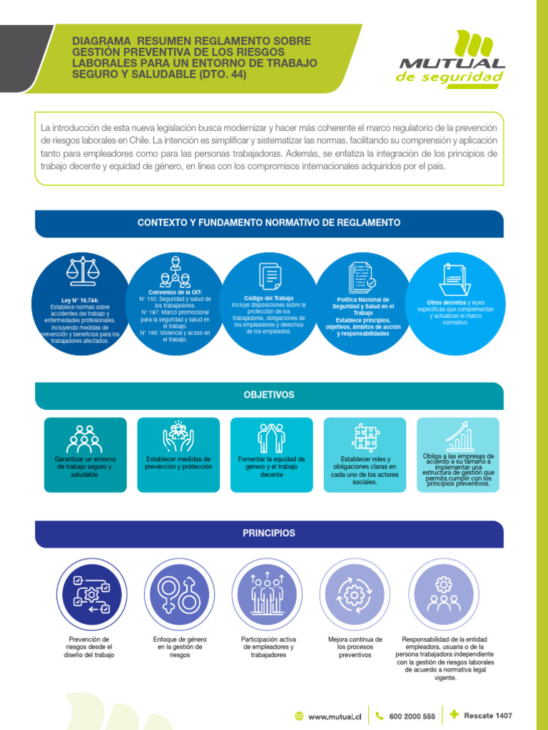 diagrama-decreto-n-44-reglamento (1)_241203_091802 | PDF | Derecho ... diagrama-decreto-n-44-reglamento (1)_241203_091802 | PDF | Derecho ...