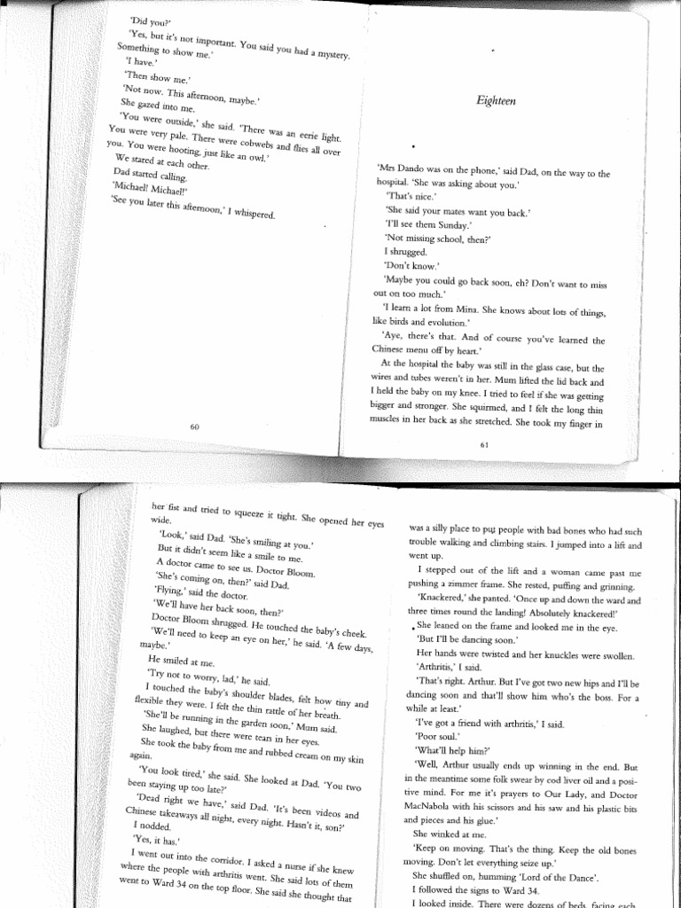 Skellig Book Pages 18 | PDF