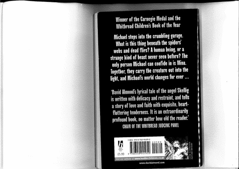 Skellig Book Pages 46 | PDF