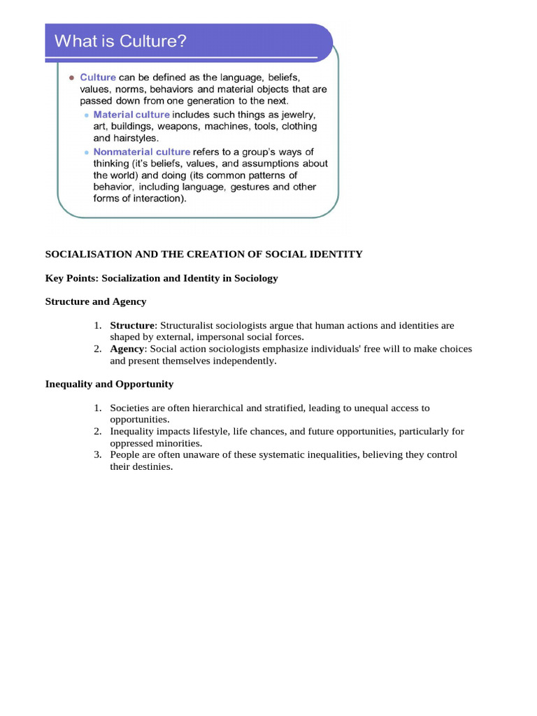 Socialisation and The Creation of Social Identity | PDF