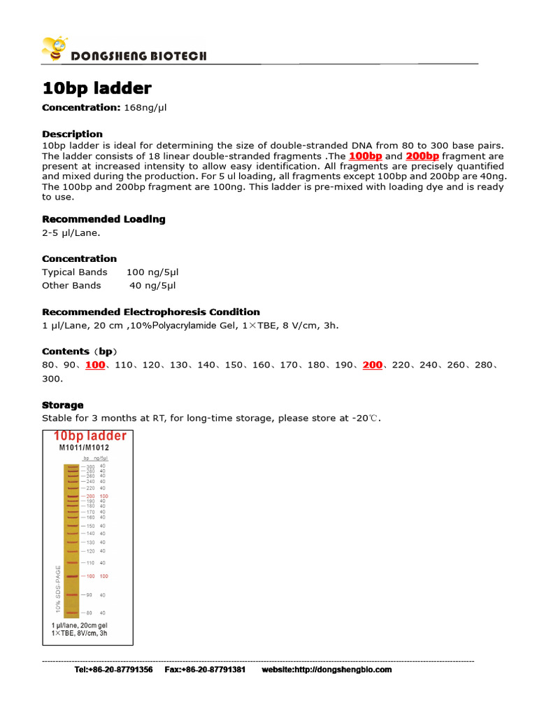10bp DNA Ladder M1011-M1012 | PDF