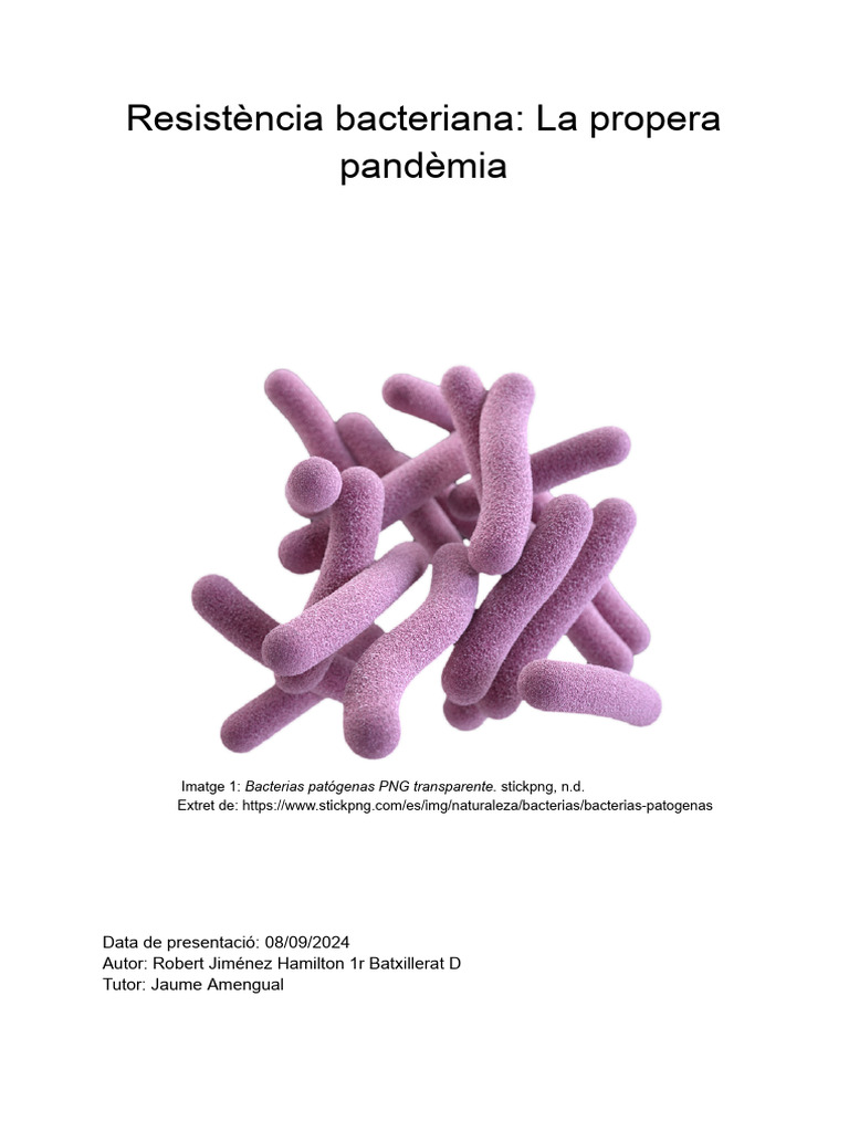 Còpia de Còpia de Copia de Entrega 3 Marc Teòric | PDF