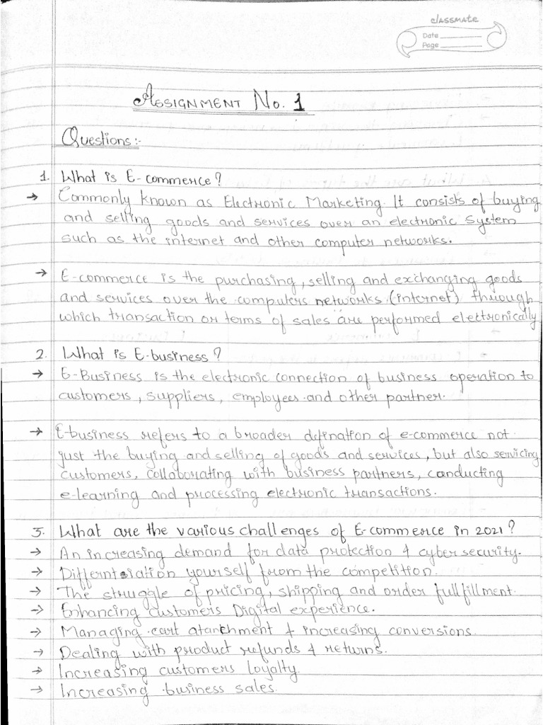 E-Commerce Assignment 01 | PDF