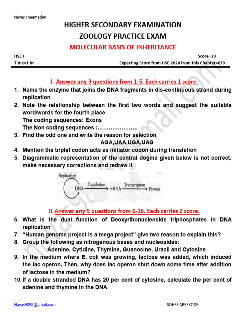 04-Molecular Basis of Inheritance | PDF | Gene Expression | Dna