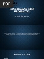 Medical Student GU Exam Guide | PDF | Testicle | Genitourinary System