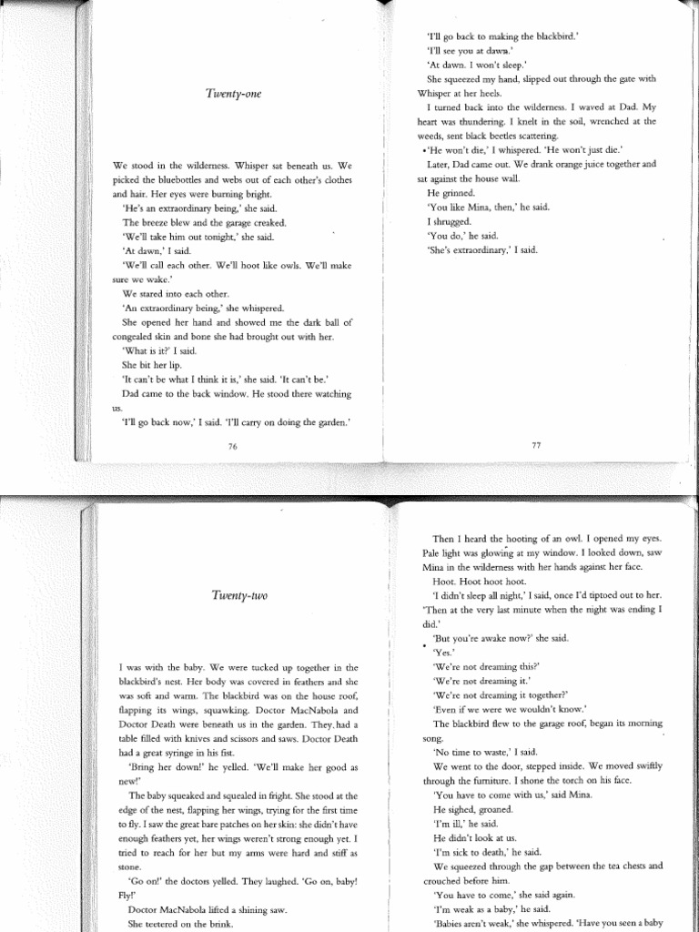 Skellig Book Pages 22 | PDF