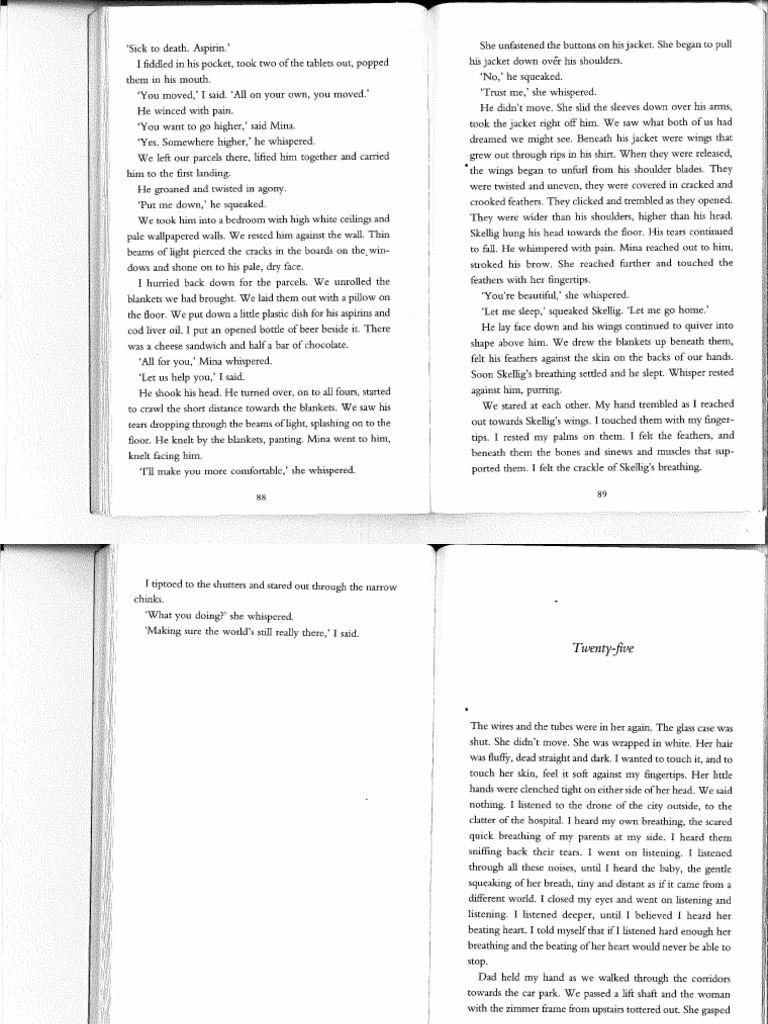 Skellig-book-pages-25 | PDF