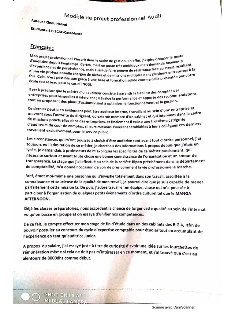 Projet Pro Audit | PDF