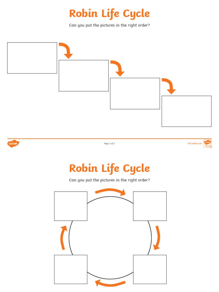 T T 5238 Robin Life Cycle Activity Sheets Ver 1 | PDF
