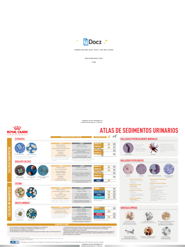 1 Urinary Atlas de S 508603 Downloadable 5117930 | PDF | Especialidades ...