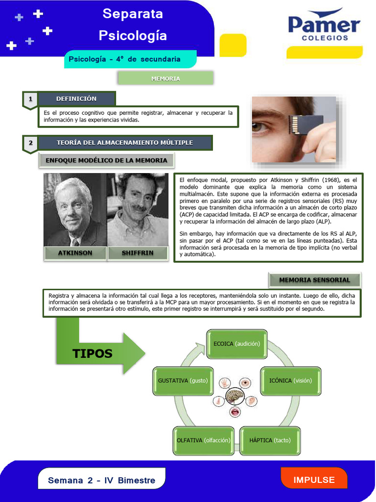 Separata - 4.° Año - SEM 2 - FIL-PSI - IV BIM | PDF | Memoria | Recuperar (memoria)