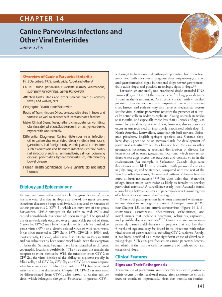CPV | PDF | Virus | Polymerase Chain Reaction