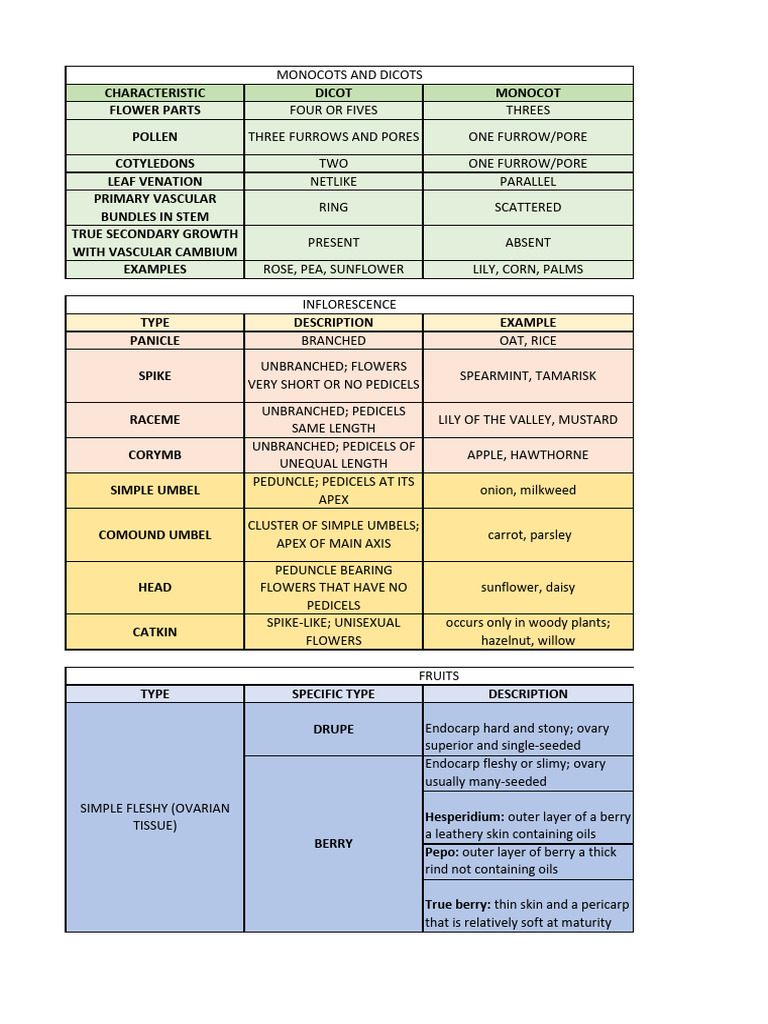 Bota Lec Cheatsheet | PDF | Fruit | Botany