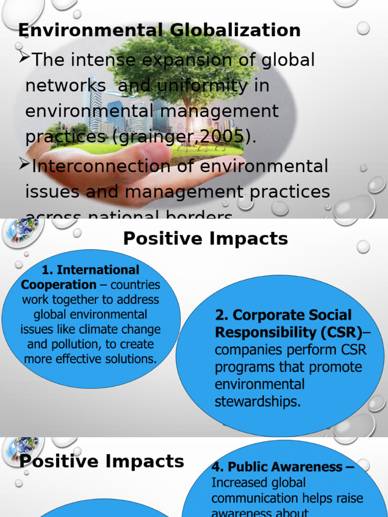 Natural Environment Globalization | PDF