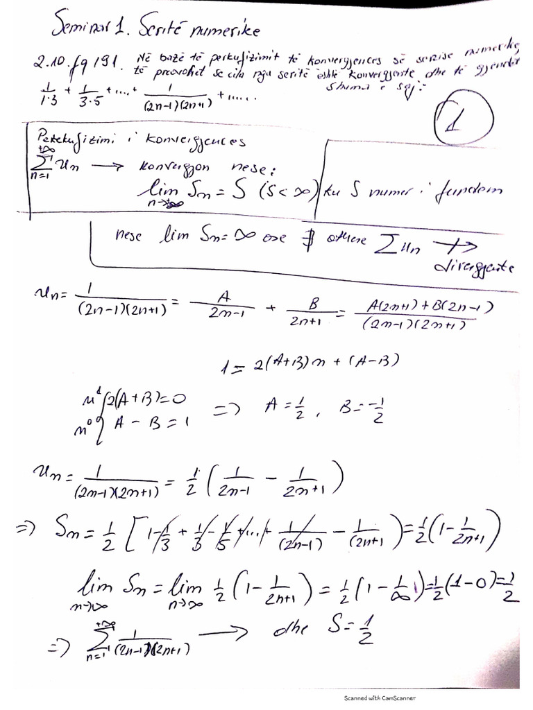 Seminar 1, Serite Numerike | PDF