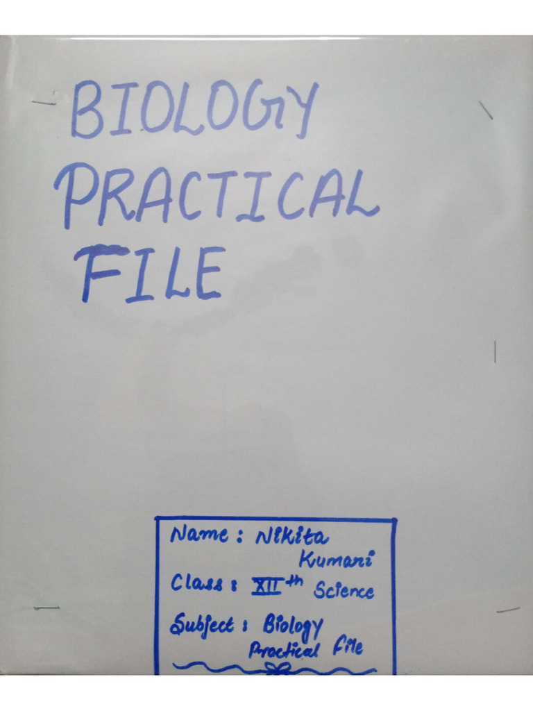 Bio Practical File | PDF