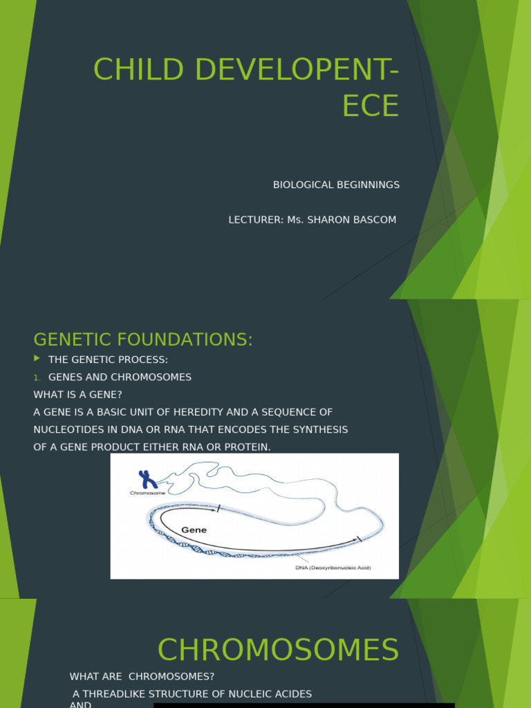 Genetic Foundations of Child Development | PDF | Gene | Heredity