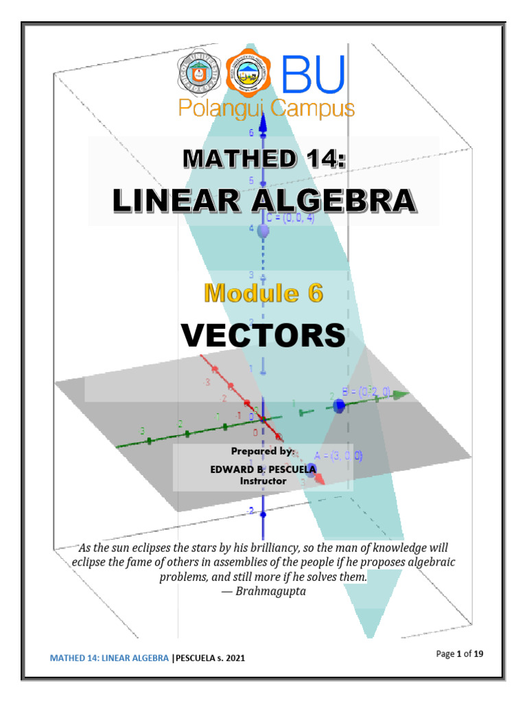 MathEd14 MODULE-6 Vectors | PDF | Vector Space | Linear Map