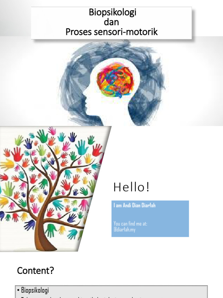 Biopsikologi Dan Proses Sensorik Motorik | PDF