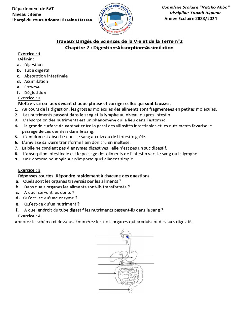 Enzymes et Absorption Intestinale | PDF | Tractus gastro-intestinal ...