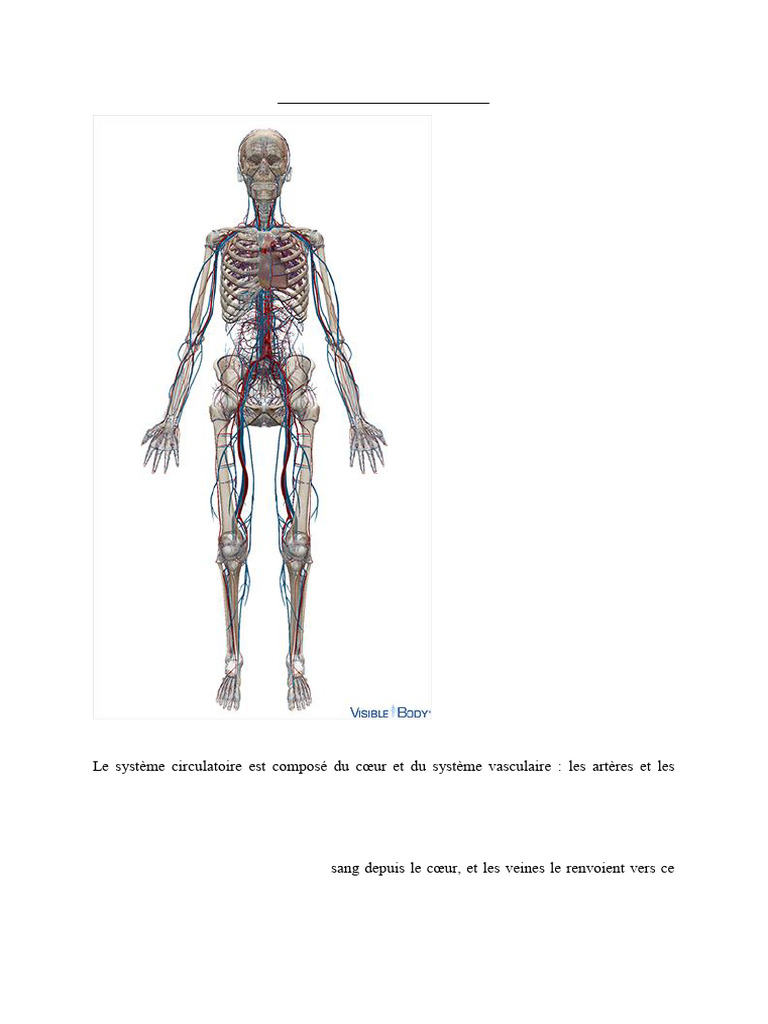 Comprendre le Système Circulatoire | PDF | Sang | Cœur