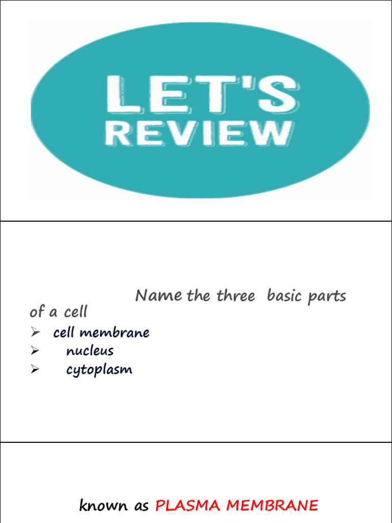 G7 Parts of The Cell Part 2 | PDF | Cell (Biology) | Endoplasmic Reticulum