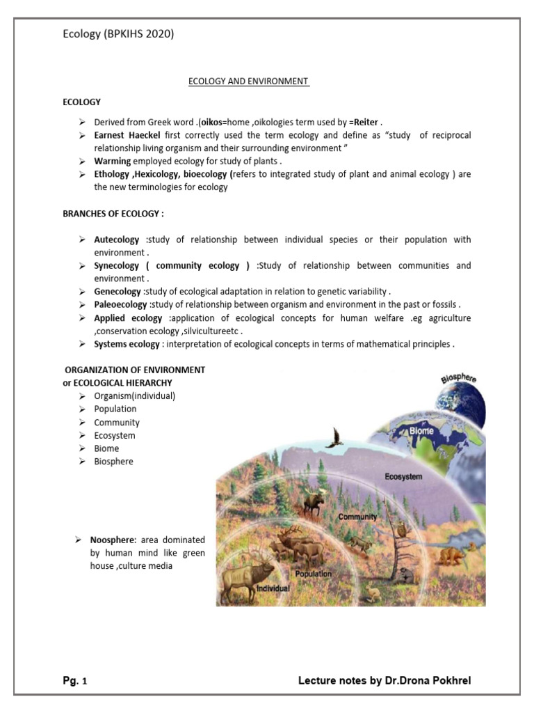 Ecology | PDF | Food Web | Soil
