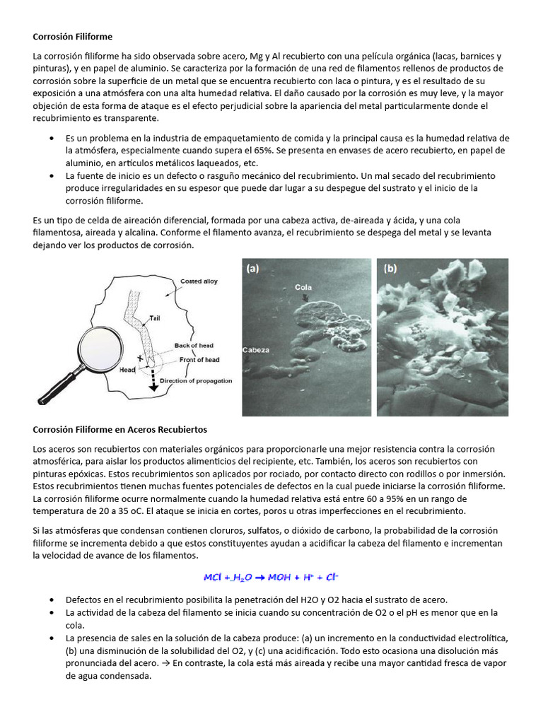 C. Filiforme | PDF | Corrosión | Aluminio