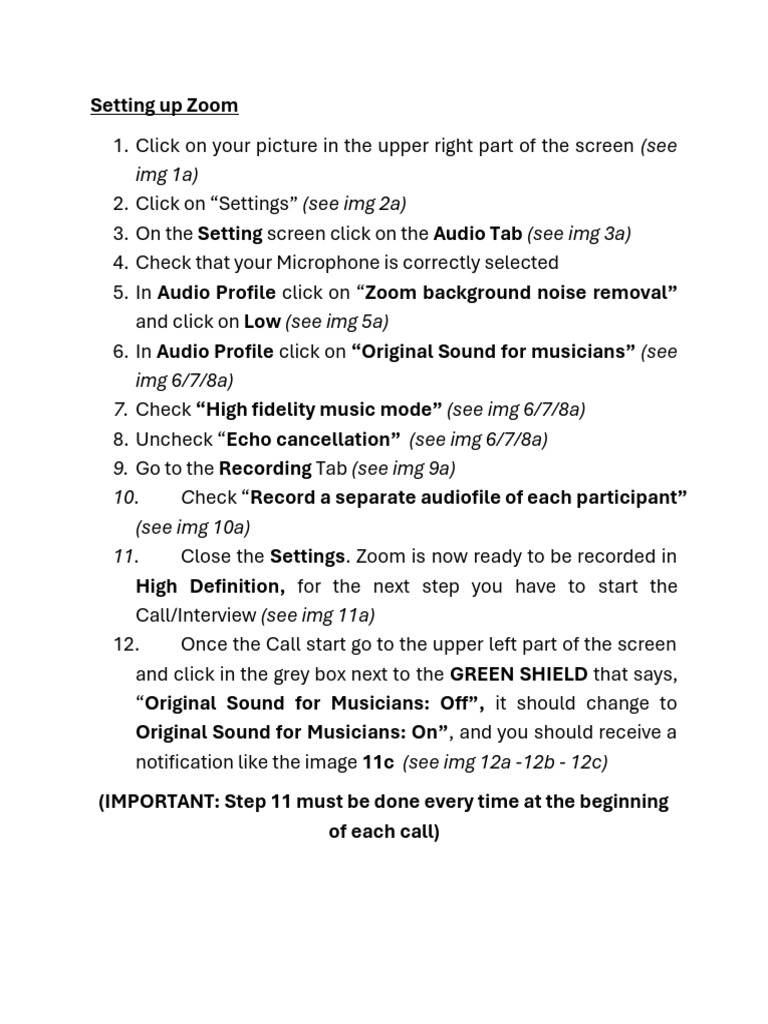 Setting Up Zoom | PDF
